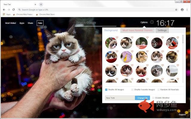 Grumpy Cat HD Wallpapers New Tab Themes Chrome插件下载及使用教程 - 网多鱼