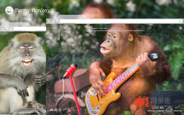 Funny Monkeys HD Wallpapers New Tab Theme Chrome插件下载及使用教程 - 网多鱼