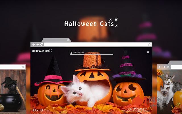 Halloween Cats HD Wallpaper New Tab Theme Chrome插件下载及使用教程 - 网多鱼